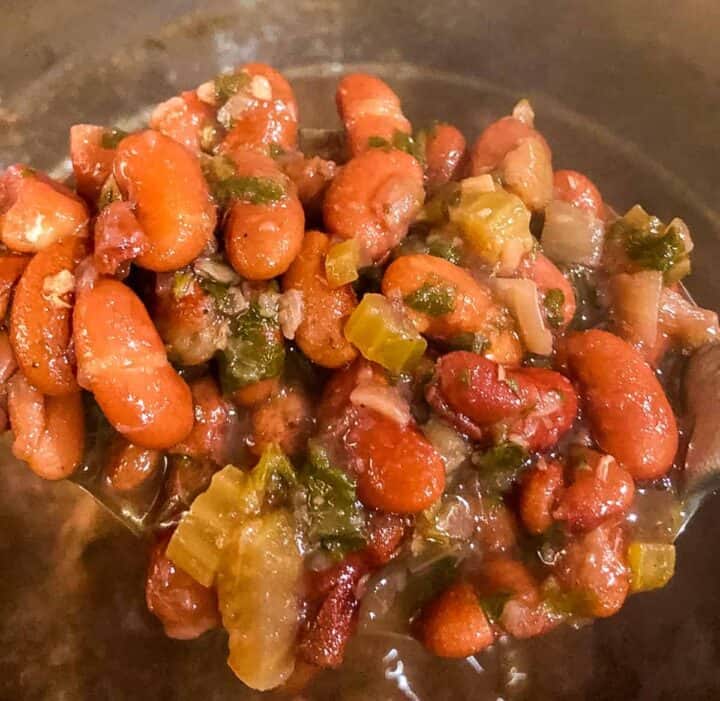 Instant Pot Red Beans and Rice (vegan, no soak) - Very Veganish