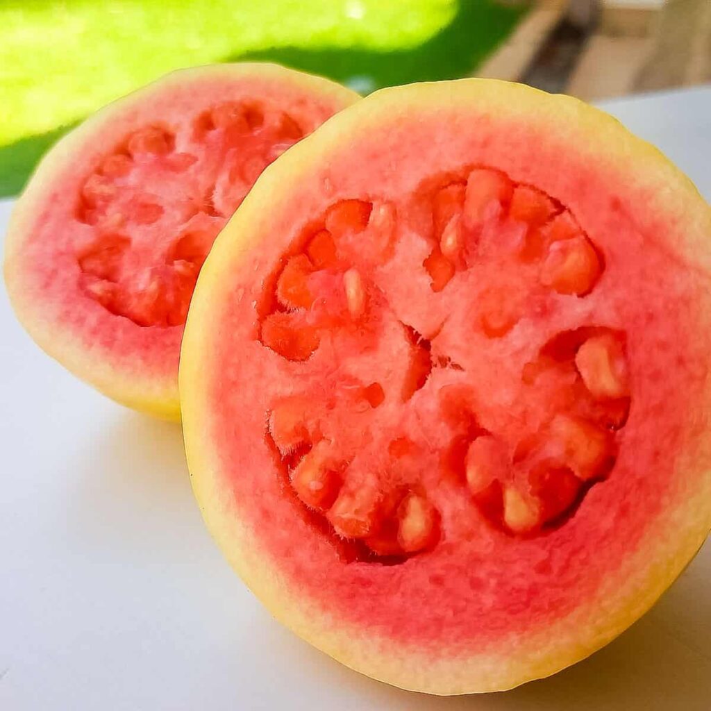 36 Pink Fruit - The Complete List from Exotic to Common with Photos ...