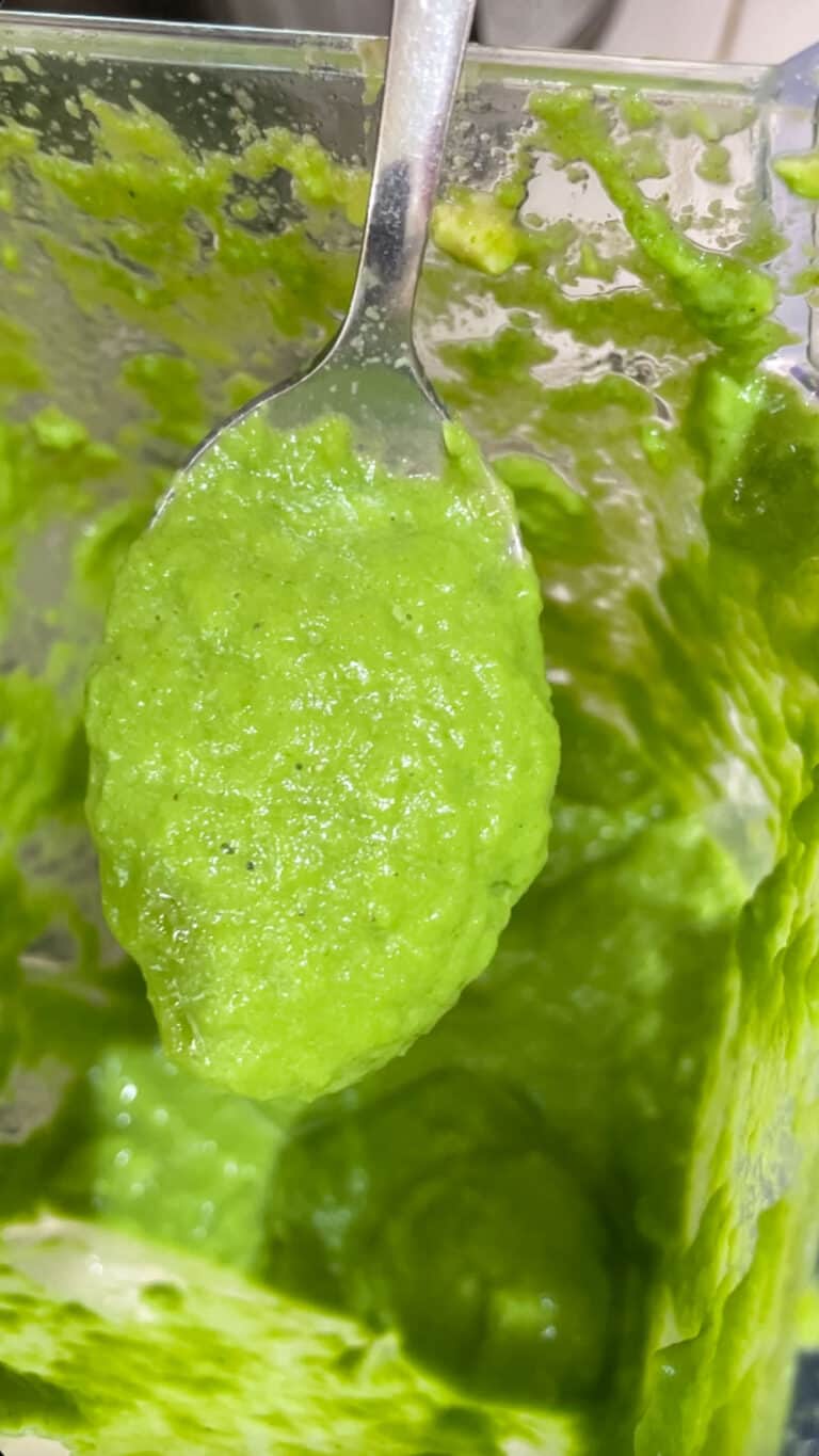 Venezuelan Creamy Avocado Cilantro Salsa (Guasacaca con Aguacate ...